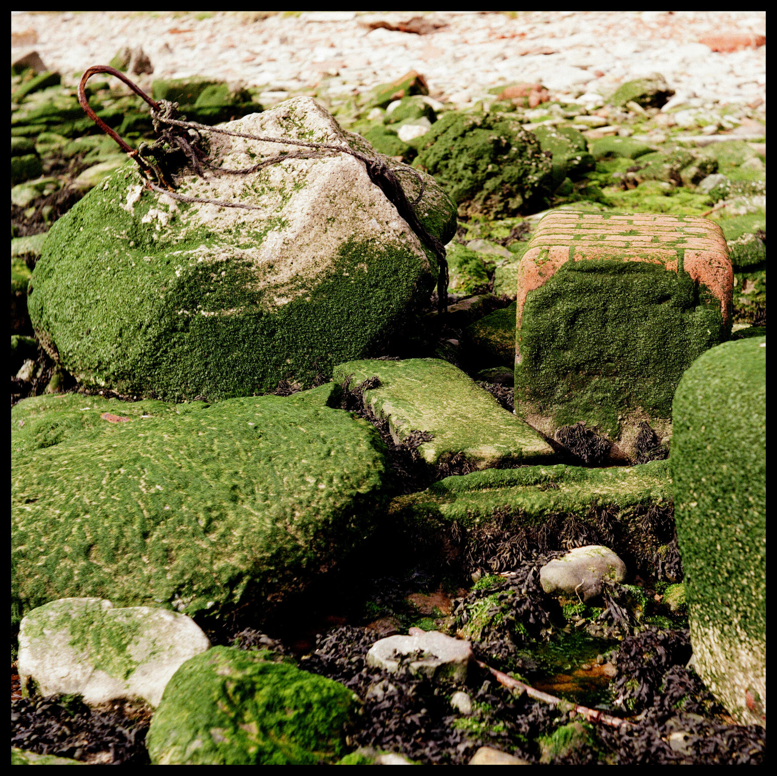 Crosby's Blitz Beach with a Yashica D and Kodak Gold 200 - The Whole ...