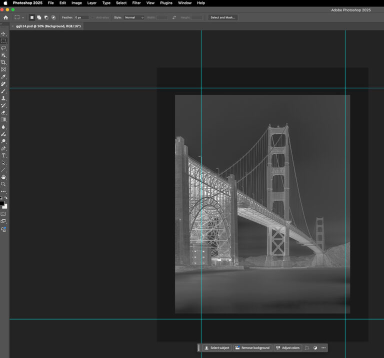 Printing Digital Photographs Using the Traditional Silver Gelatin ...
