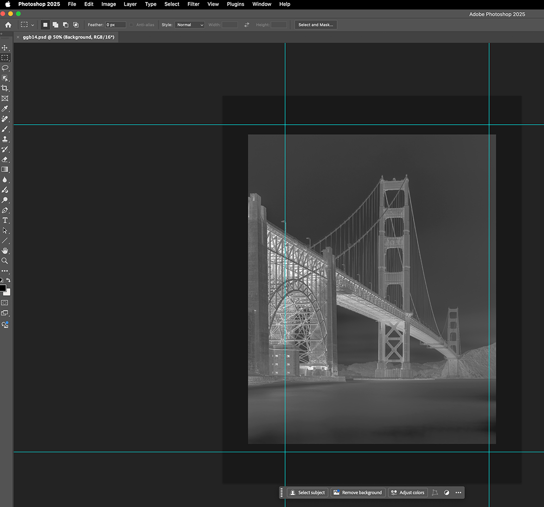 Printing Digital Photographs Using the Traditional Silver Gelatin ...