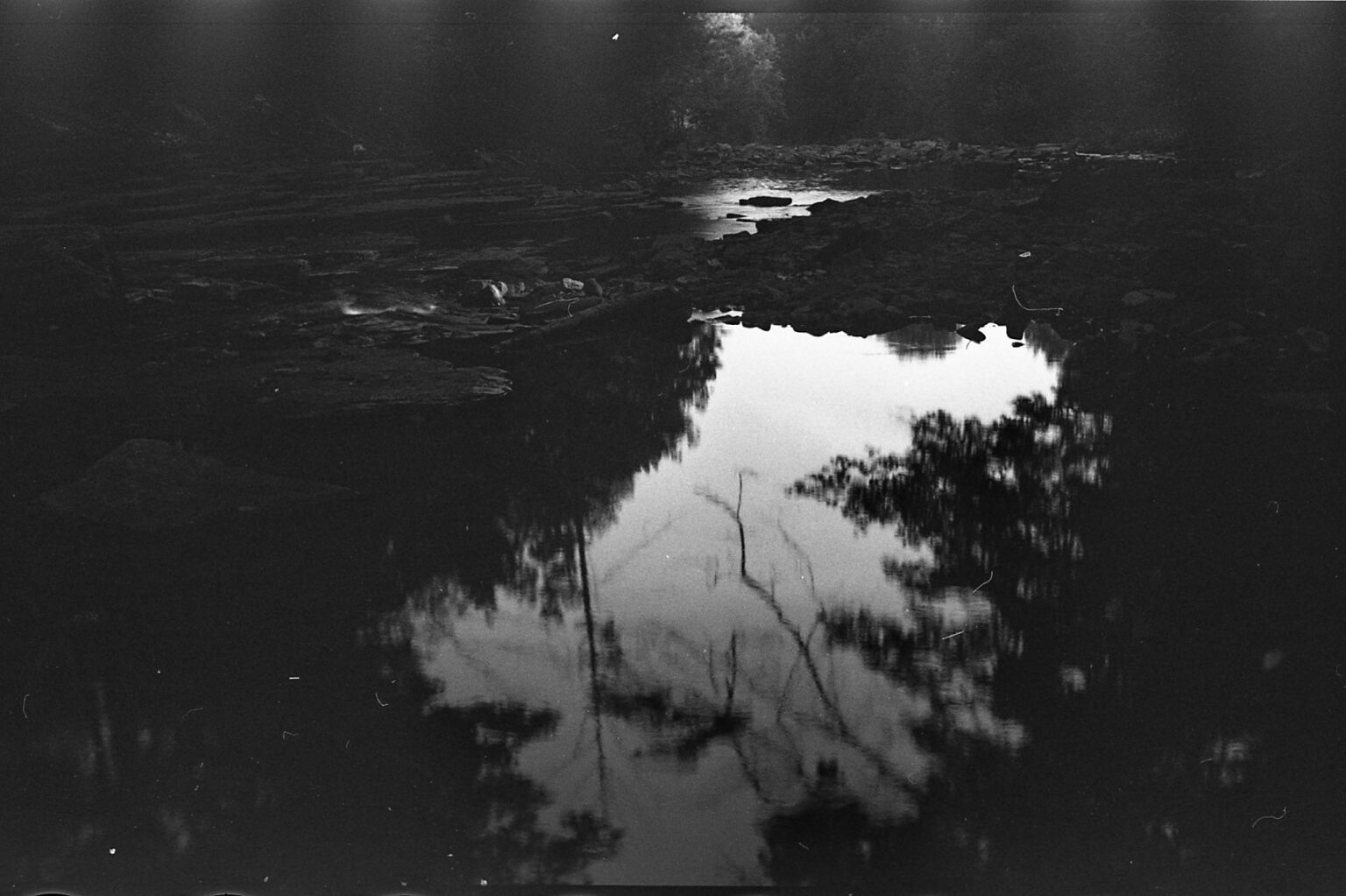 Kodak Eastman 5230 - The Time(s) I Shot This Curious Eastman Background ...