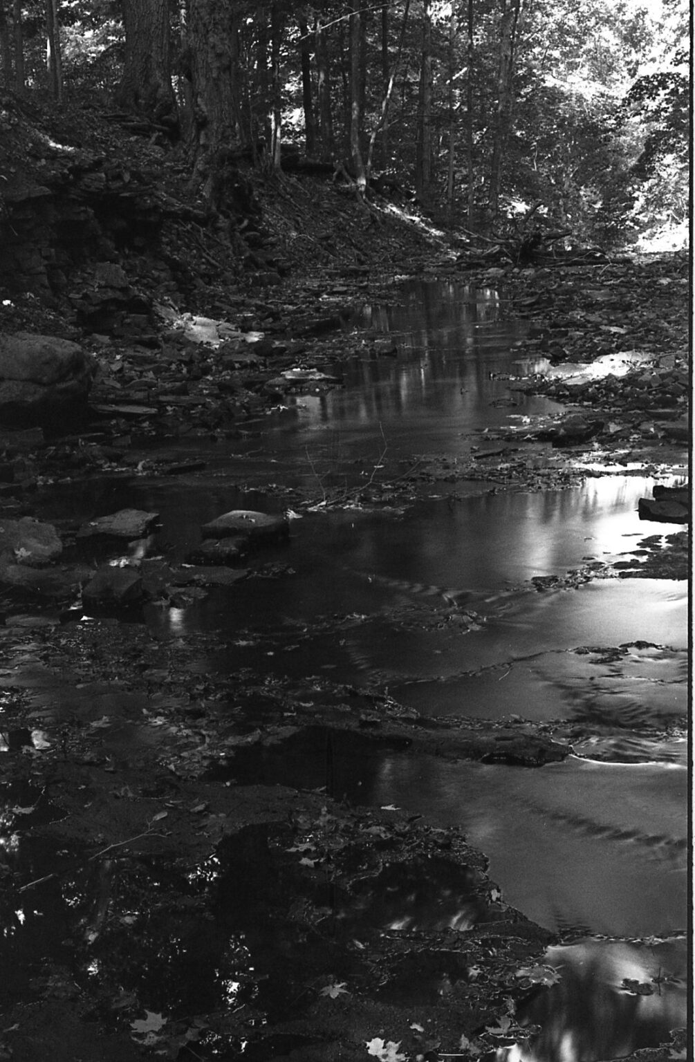 Kodak Eastman 5230 - The Time(s) I Shot This Curious Eastman Background ...