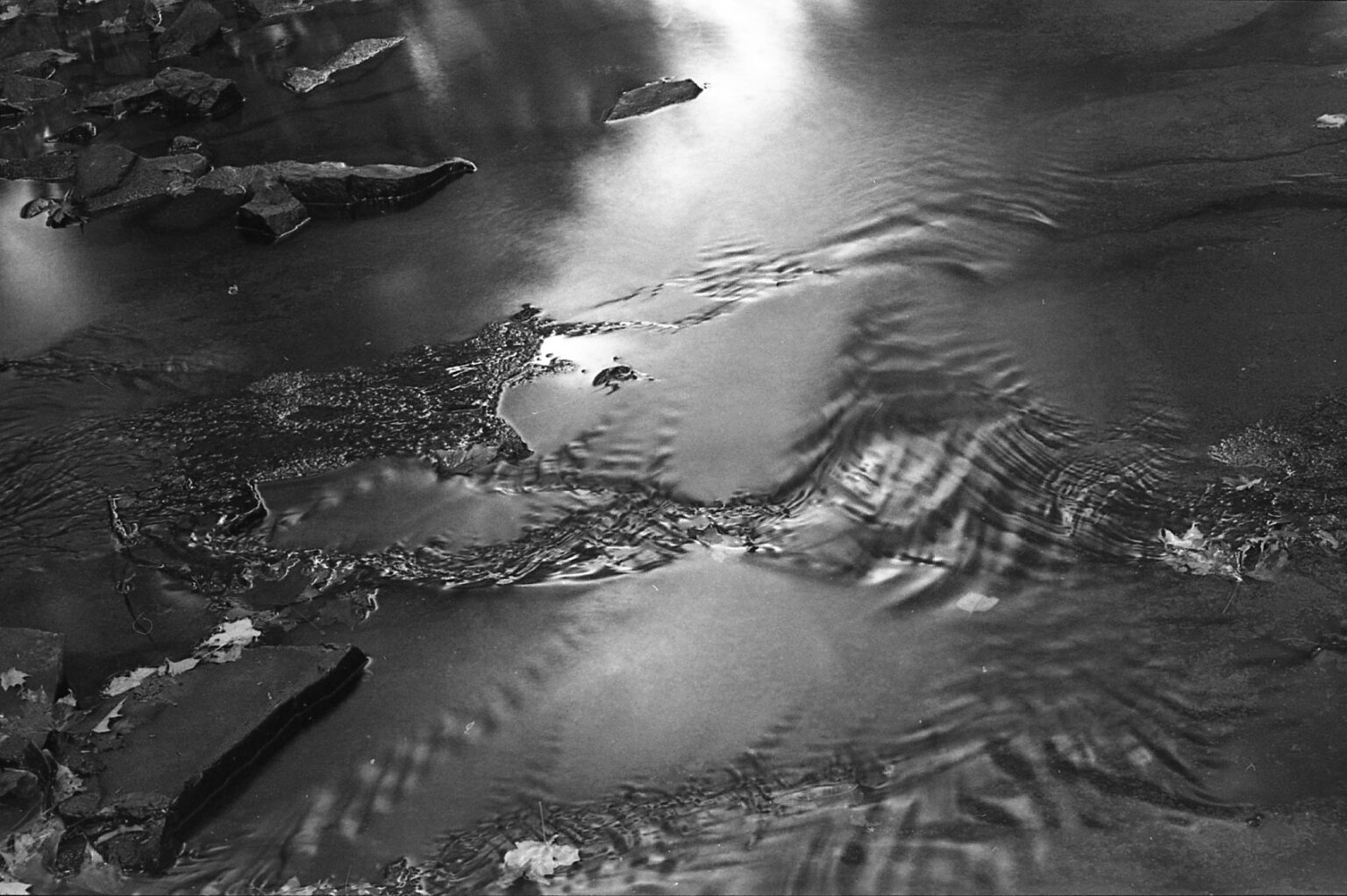 Kodak Eastman 5230 - The Time(s) I Shot This Curious Eastman Background ...