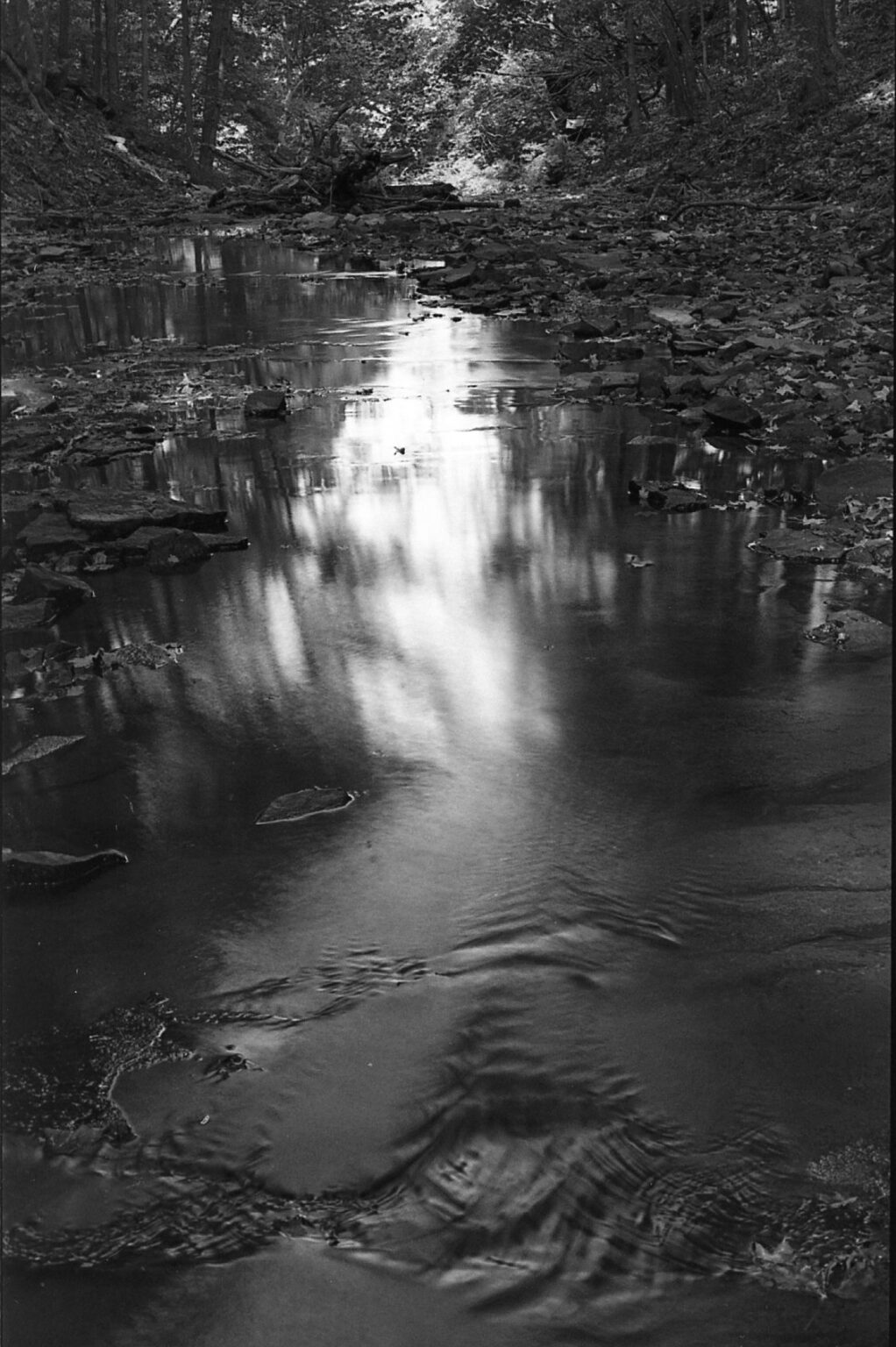 Kodak Eastman 5230 - The Time(s) I Shot This Curious Eastman Background ...