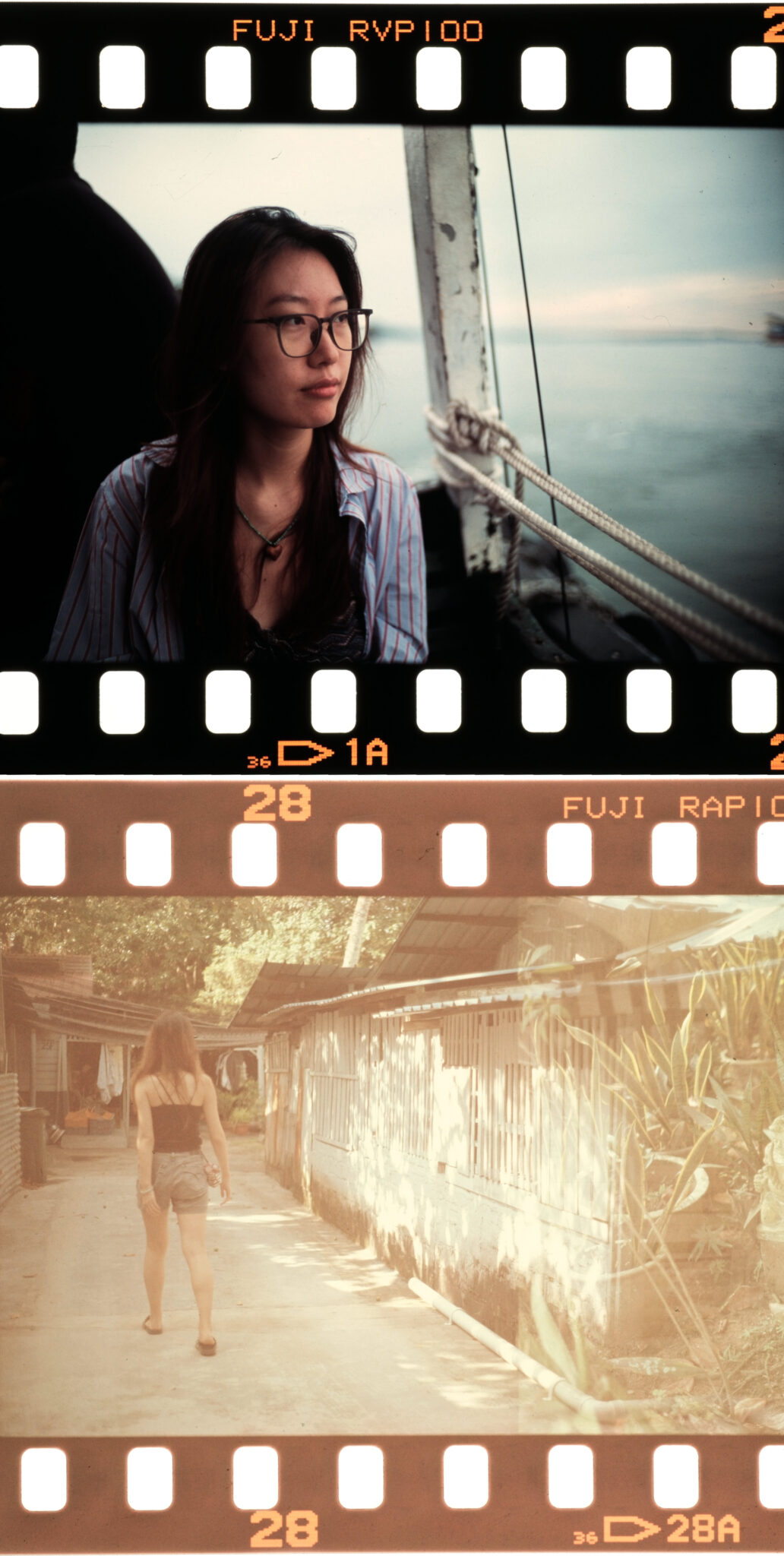 My 2025 on Colour Film - 9 rolls, 8 emulsions, 6 cameras - 35mmc