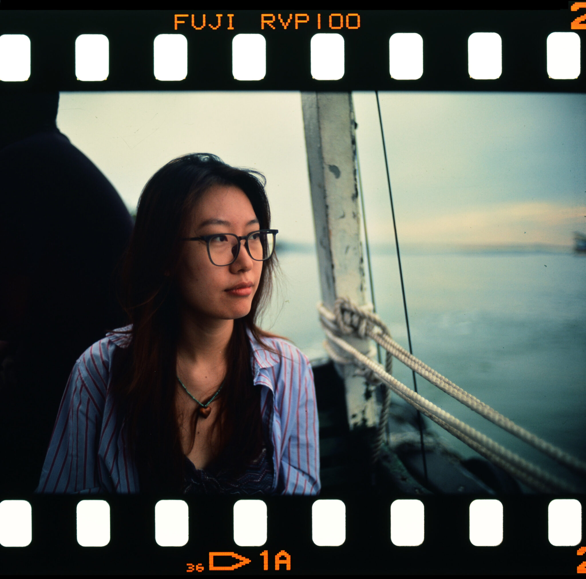 My 2025 on Colour Film - 9 rolls, 8 emulsions, 6 cameras - 35mmc
